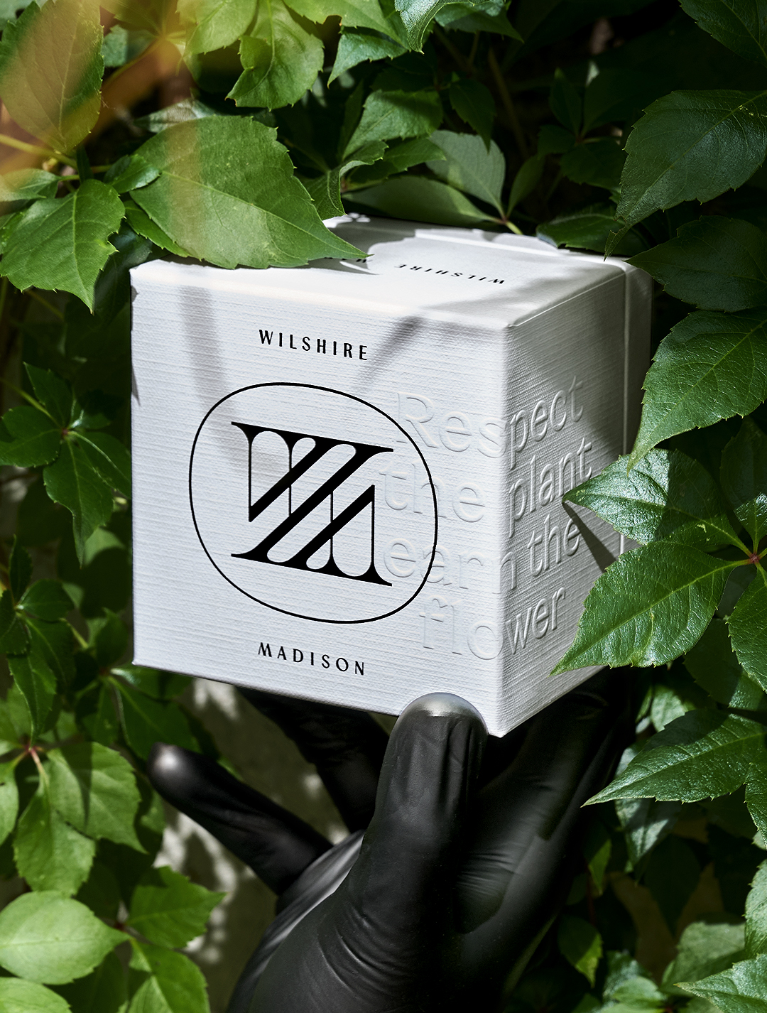 Werner Design Werks